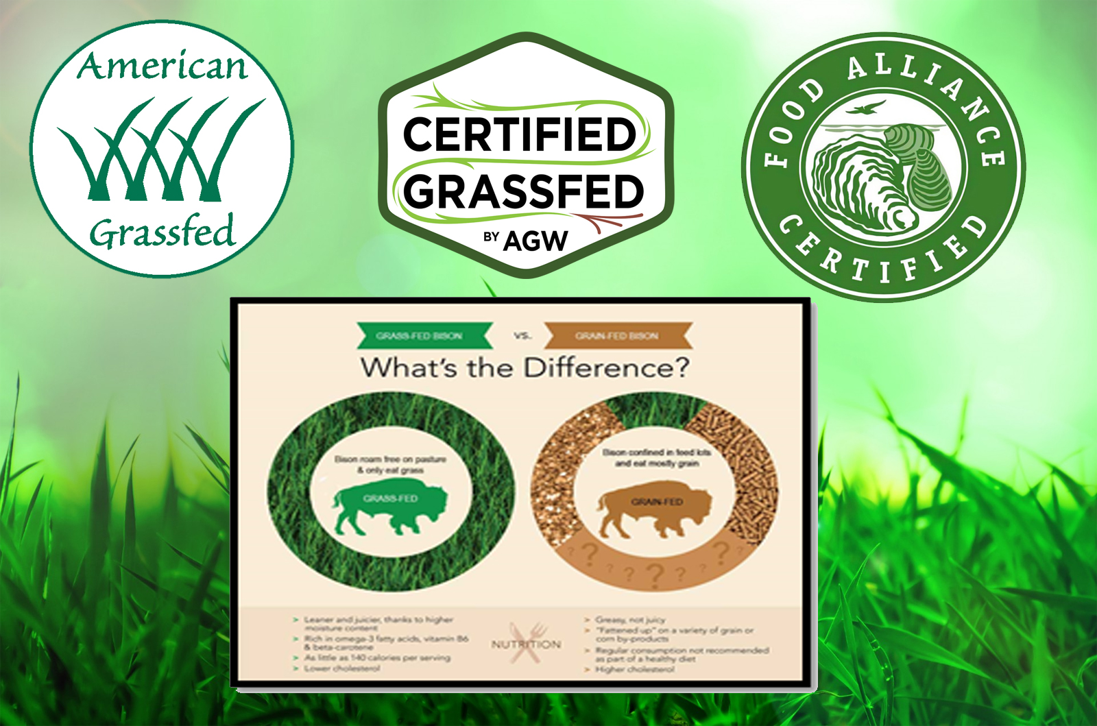 Grass-Fed versus Grain-Fed Meats